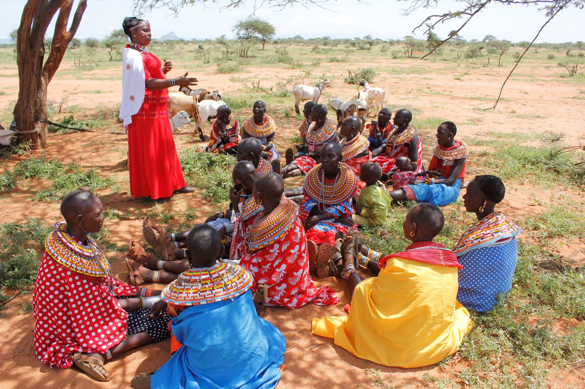 Indigenous People and ethnic minorities - Voice.Global