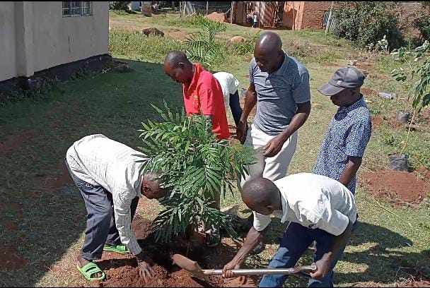 Suba Kuria Green Park: Nature’s safe haven - Voice.Global